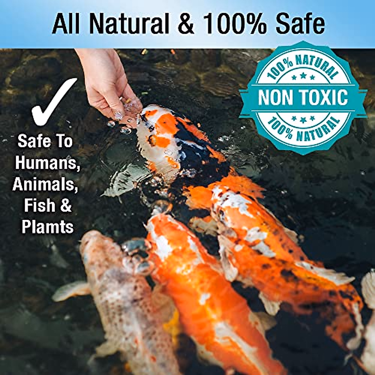 MICROBE-LIFT PL Pond Bacteria and Outdoor Water Garden Cleaner, Safe for Live Koi Fish, Plant Life, and Decor (1 Gallon)