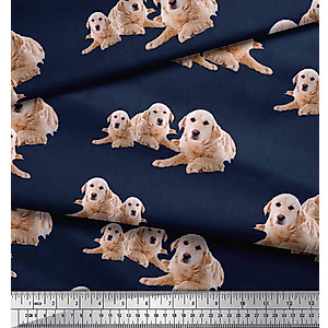 Soimoi Cotton Cambric Blue Fabric - by The Yard - 42 Inch Wide - Golden Retriever Dog Print Fabric - Warm and Friendly Designs for Pet-Adoring Homes Printed Fabric