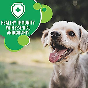 IAMS Small & Toy Breed Adult Dry Dog Food for Small Dogs with Real Chicken, 7 lb. Bag