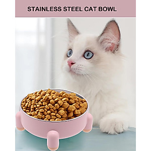 Stainless Steel Cat Bowl, Anti-Slip and Raised Design, Durable HIPS Material, Non-Spill, Dishwasher Safe, Perfect for Cats and Small Dogs, Easy to Clean (Pink, 1 Pcs)