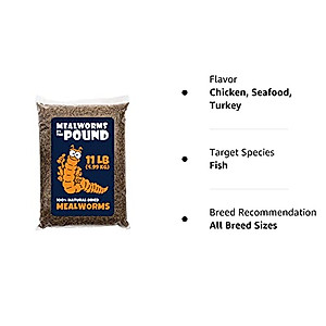 MBTP Bulk Dried Mealworms - Treats for Chickens & Wild Birds (11 Lbs)
