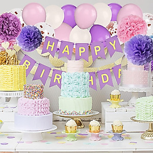Rishafowg Purple Birthday Decorations for Women, Princess Birthday Party Decorations Pink and Purple Birthday Decorations with Latex Balloons Paper Pom Poms Happy Birthday Banner