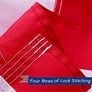 TNS American Flag, American Flags 3x5 for Outside, USA US Flag, Deluxe Embroidered Stars, Heavy Duty Durable Flags Outdoor, Vivid Color, Sewn Stripes, Brass Grommets(3x5 FT)