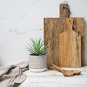 Kurrajong Farmhouse Artificial Plant | 8" Fake Plant | Artificial Succulent in Pot | Fake Succulent | Faux Plant Indoor | Succulent Plant Artificial | Faux Succulent in Pot