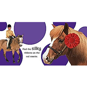 Touch and Feel: Ponies