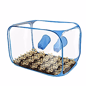 Litytlen Portable Mushroom Growing Tent-Spore Fungus Fume Hood Propagation Stations.