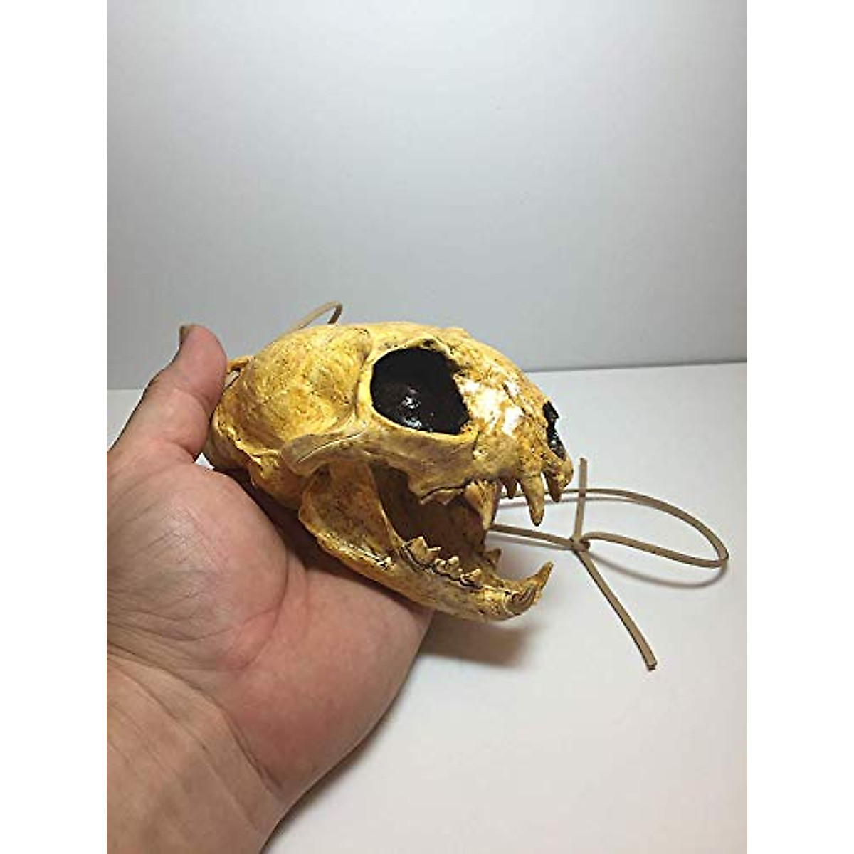 Aztec Death Whistle - Apex Predator