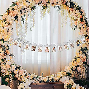 1st Birthday Baby Photo Banner - Perfect 1-12 Month Photo Prop Garland Bunting Baby Shower Party Decoration Glitter Silver