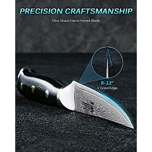 KYOKU Gin Series Steak Knife Set of 4, 4.5" Steak Knives, Japanese VG10 Damascus Stainless Steel Kitchen Knife Set with Silver Ion Blades G10 Handles Mosaic Pins, Cutlery Set w/Sheaths & Case