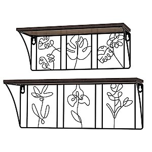 QUTREY Plant Wall Art Floating Shelves Set of 2, Minimalist Metal Abstract Decor Rustic Wooden Shelf for Living Room, Bedroom, Bathroom
