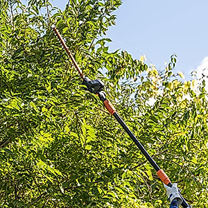 Scotts LPHT12122S 20-Volt 22-Inch Cordless Pole Hedge Trimmer, 2.0Ah Battery and Fast Charger Included