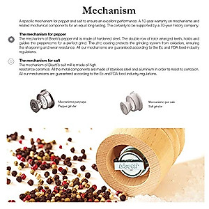 Bisetti 32 cm /12.6 Inch Firenze Red Lacquered Beech Wood Salt Mill With Adjustable Ceramic Grinder