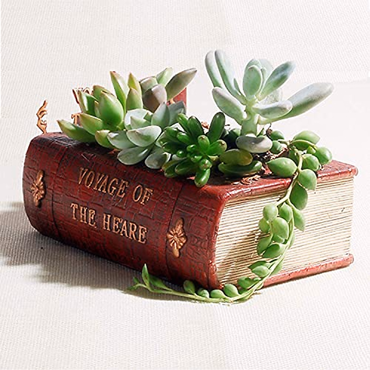 Aygrün Succulent Pots, Cute Resin Animal Flower Planters Decorations, 4 Inches, Creative Pot for Sempervivum with Drainage, Gift for Women, Man, Office and Garden Decor Book, 5.5″x4.0″x2.2″