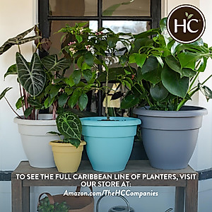 The HC Companies 6 Inch Caribbean Planter - Lightweight Indoor Outdoor Plastic Plant Pot for Herbs and Flowers, Dusty Teal
