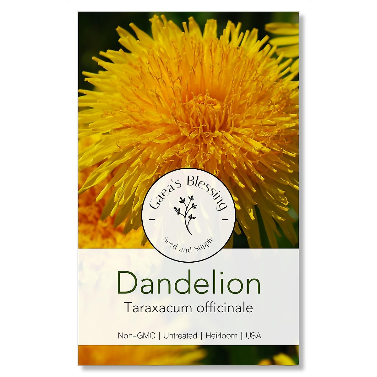 Gaea's Blessing Seeds - Dandelion Seeds - Common Dandelion - Non-GMO Herb Seeds with Easy to Follow Instructions, Heirloom, Open-Pollinated, Untreated