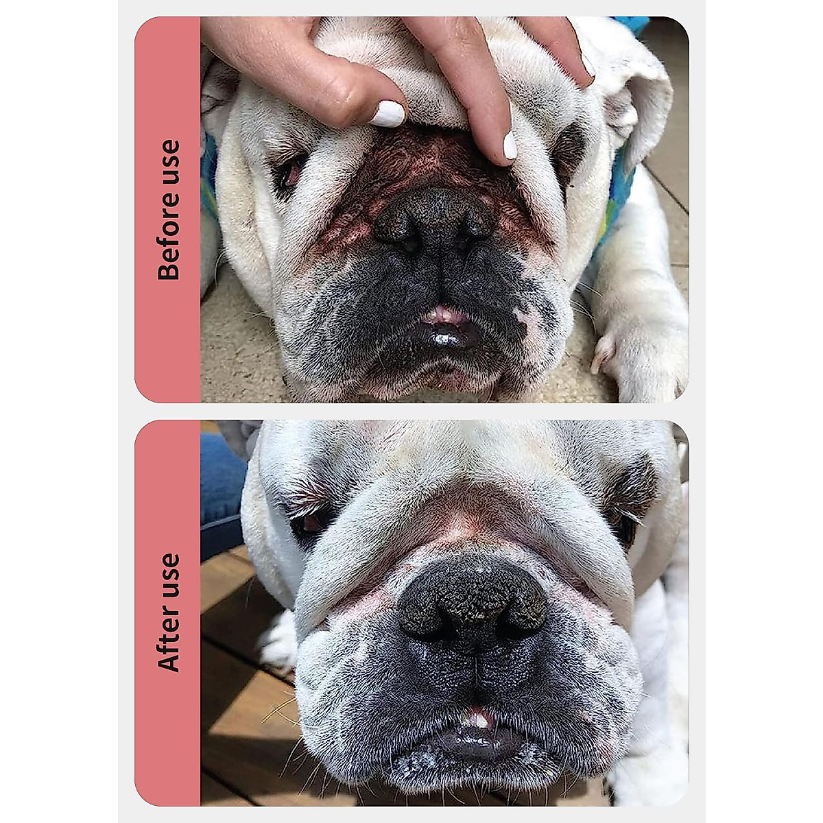 GJYC PET Wrinkle Wipes + Wrinkle Balm for Dogs | Bulldog, French Bulldog, Pug, English Bulldog | Cleans & Soothes Wrinkles, Folds, Tear Stain, Tail Pockets & Paws
