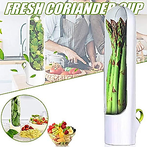 plplaaoo Herb saver pod, Herb Storage Container clear windowed,good watertight integrity,Fits in all standard refrigerator doors for Cilantro Mint Parsley Asparagus