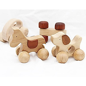 TEKOR Wooden Animal Push Toy with Wheels | Baby & Toddler | Grasping & Teething | Natural Organic Beech Wood | Develops Fine Motor Skill | Coordination | Smooth No Rough Edges | (Package of 4 Toys)