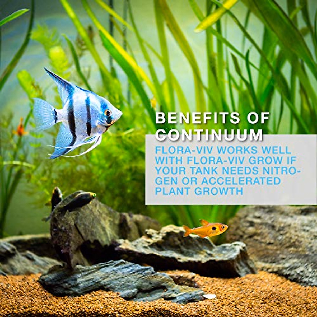 Continuum Aquatics Flora Viv – Multi Nutrient Fertilizer for Freshwater Planted Aquariums, Phosphate Free, 500-ml (QFV500)
