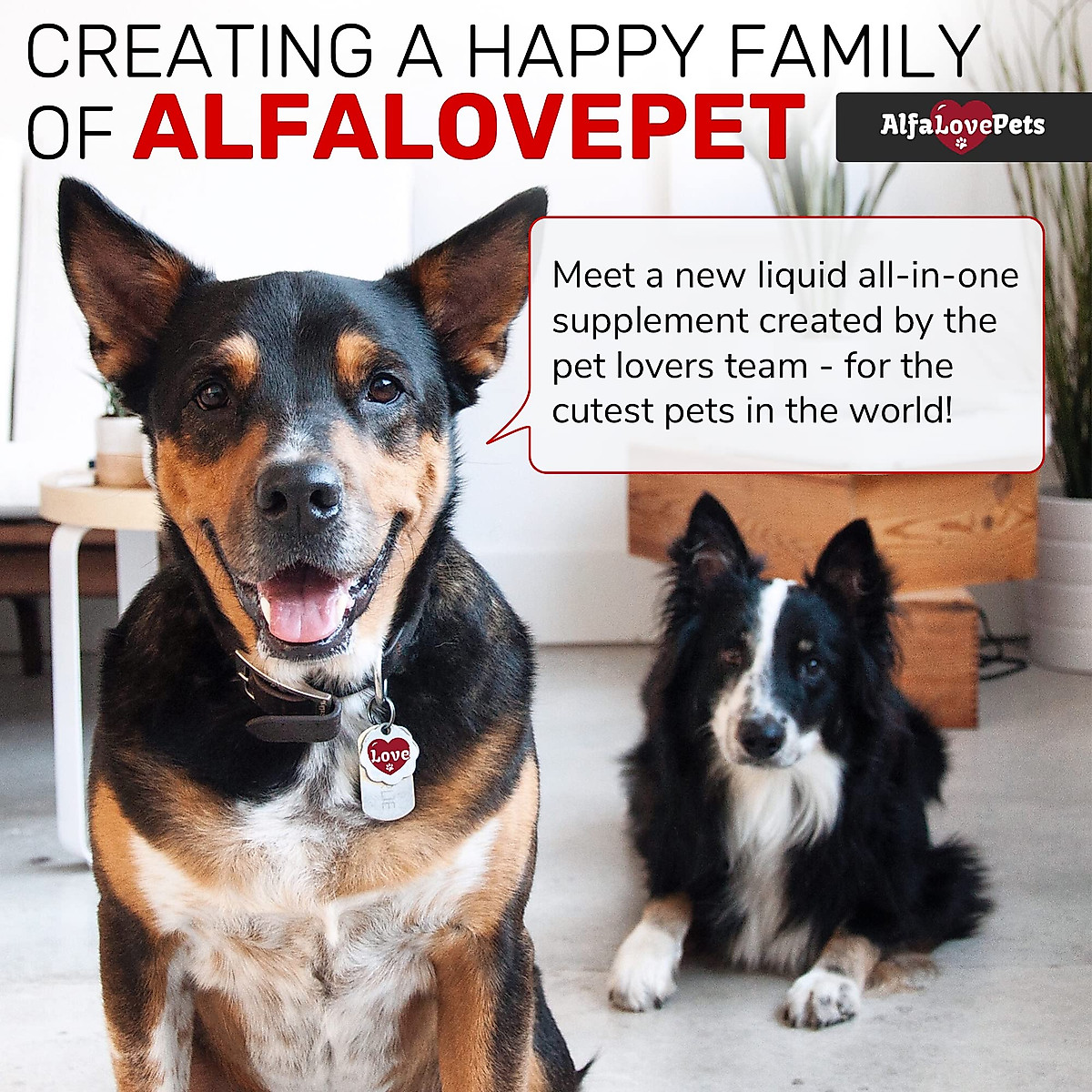 Сat Vitamins for Indoor Cats in Drops – Liquid Multivitamin for Dogs – Dog Multivitamin Liquid Supplement – Cat Multivitamin – Multivitamin for Dogs – Vitamin C for Cats – 2 oz