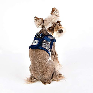 Puppia Auden Harness B - Blue - S