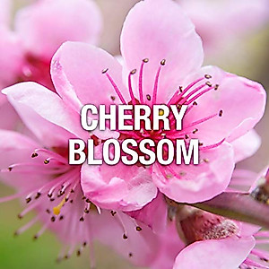 Giorgio Beverly Hills Red Perfume for Women, 3 fl. oz. EDT Spray