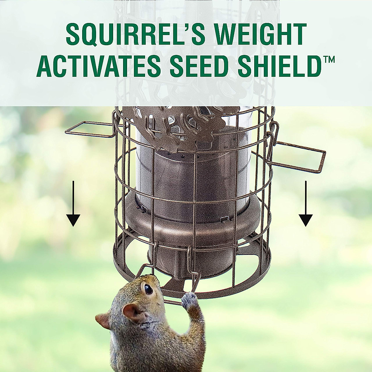 Perky-Pet SBG101 Squirrel Off Max Pinecone Bird Feeder with Flexports – 1.75 lb Capacity