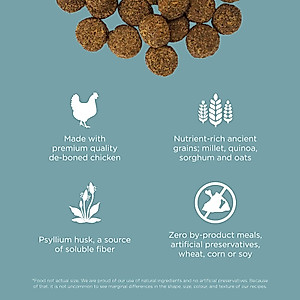 Go! Solutions Digestion + Gut Health, Dry Dog Food, Chicken Recipe with Ancient Grains, 3.5 lb Bag