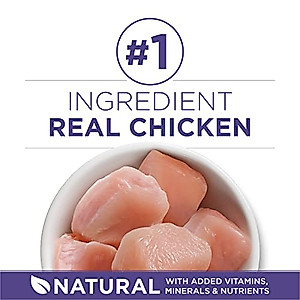 Purina ONE Natural Cat Food for Hairball Control, +PLUS Hairball Formula - 16 lb. Bag