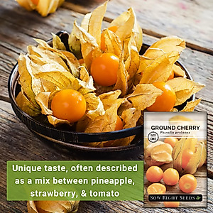Sow Right Seeds - Ground Cherries Seeds for Planting - Non-GMO Heirloom Packet with Instructions to Plant an Outdoor Home Vegetable Garden - Mexican Husk Tomato - Endangered Variety (1)