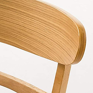 Christopher Knight Home Heather Mid-Century Modern Dining Chairs (Set of 4), Dark Gray, Natural Oak