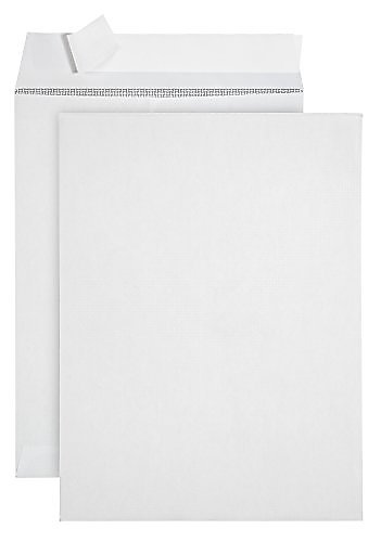 100 9 X 12 Self Seal Security Catalog Envelopes - Designed for Secure Mailing - Securely Holds up to 60 Sheets of Paper with Strong Peel and Seal Flap (100 Envelopes)