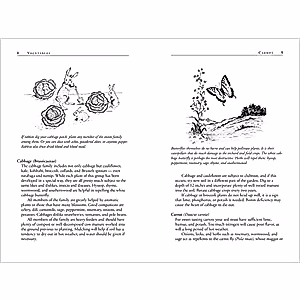 Carrots Love Tomatoes: Secrets of Companion Planting for Successful Gardening