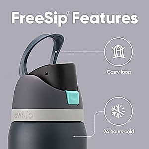 Owala FreeSip Insulated Stainless Steel Water Bottle with Straw for Sports and Travel, BPA-Free, 24oz, Foggy Tide