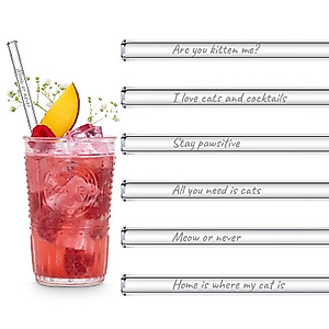 HALM Glass Straws - Cat Sayings Edition - 6 Reusable Drinking Straws With Engraved Cats Quotations 20cm (8 in) - funny cat quotes, are you kitten me - Made in Germany - Dishwasher Safe - Eco-Friendly