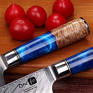 Dnifo Chef Knife, Damascus VG-10 Steel 8 inch Professional Sharp Kitchen Knife, Japanese Chef Knives Full Tang Half Bolster Cooking Damascus Knife, Anti-rusting Forged Damascus Chef's Knife