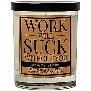 Work Will Suck Without You - Going Away Gifts for Coworkers, Boss, Best Friend, New Job Gifts, Coworker Leaving Gifts, Funny Candle for Women, Men, Work Bestie Gifts, Home Office, Friendship Candle