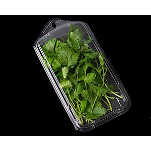 JA Kitchens 2 Ounce Large Herb Clamshell Container - Disposable - Pack of 20