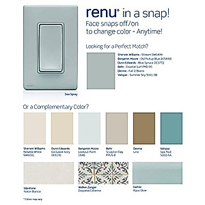 Leviton RER20-SE Renu Tamper-Resistant Outlet, 20-Amp, 125VAC, Sea Spray