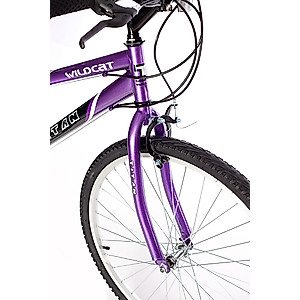 Titan Wildcat Ladies Mountain Bike (Purple/Black, 26-inch)