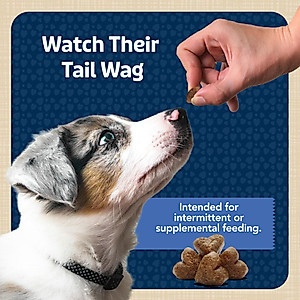 Blue Buffalo Bits Soft Dog Treats for Training, Made With Natural Ingredients & Enhanced with DHA, Chicken Recipe, 19-oz Bag