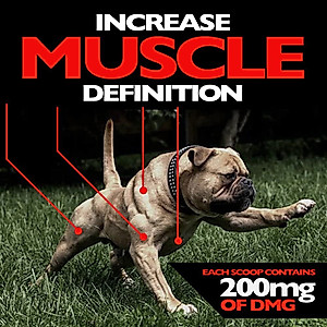 Muscle Bully Muscle Builder for Dogs - Combines Clinically Proven Muscle Building Ingredients That Support Muscle Growth, Size, Definition and Endurance. Ultimate Canine Muscle Building Supplement.