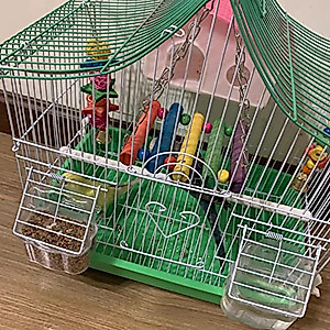 Toysructin Bird Parrot Toys, 6Pcs Bird Cage Ladder Bell Toy for Parrots Parakeets, Wooden Bird Swings for Small Birds Hanging Hammock Toys for Cockatiels,Conures, Budgie,Love Birds Cage Accessories