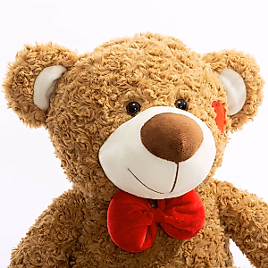 BEJOY Teddy Bear Stuffed Animal Plush Bear with Red Bow and Hearts Valentine’s Day Gift, 24 inch Brown