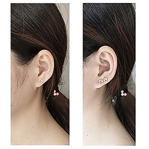 CZ Paw Earrings for Women Girls S925 Sterling Silver Cubic Zirconia Tiny Stud Tragus Post Pin Cute Paw Kitten Cat Puppy Dog Print Earrings Hypoallergenic Jewelry Gift for Pet Lover (silver)
