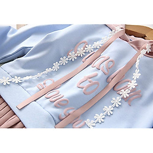 HZYBABY Baby Girls Long Sleeve Princess Skirt Dress for Toddler Swing Casual Hoodie Sweatshirt Dress Knee Length Blue, 3T