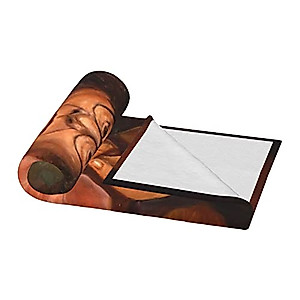 Danny and His Devito Beloved Ham Flannel Blanket Soft Cozy Lightweight Fluffy Microfiber Funny Meme Blanket All Season Fuzzy Plush Throw Blankets for Couch Sofa Bed 50"X40"