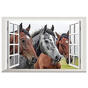 Home Find Horse Wall Decals 3D Faux Window View Decals Removable Fake Window Scene Wall Stickers Home Decor Art Mural Animals for Living Room Kids Room Nursery 23 inches x 15 inches