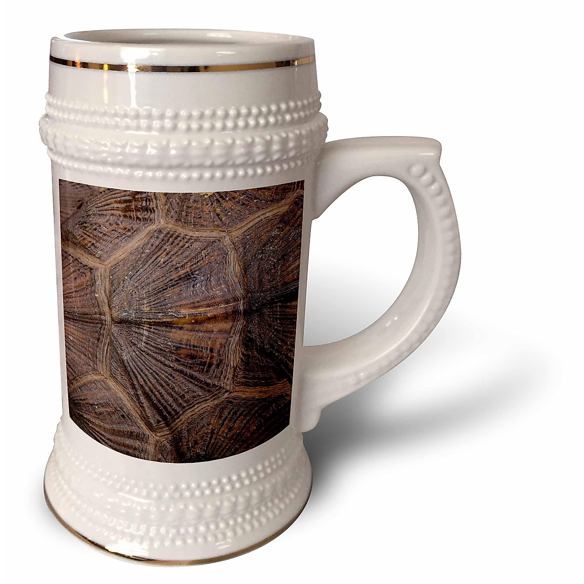 3dRose Wood Turtle carapace detail, USA - Stein Mug, 18oz , 22oz, White