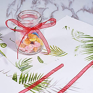 Pandahall 500Yards Sheer Lithe Organza Ribbon 1/4 Inch Wide Transparent Chiffon Ribbon for Wrapping Wedding DIY Decoration (Red)